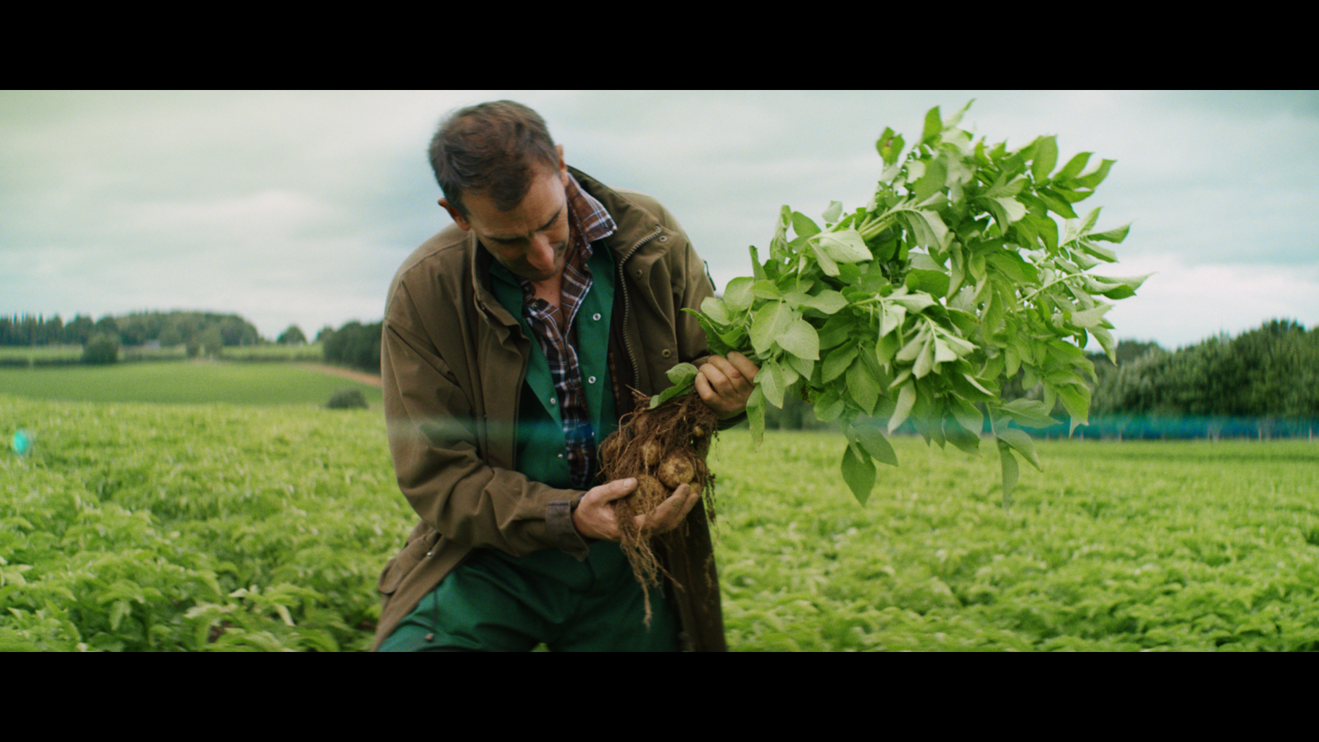Walkers. We love potatoes, so you can love Walkers - Oystercatchers