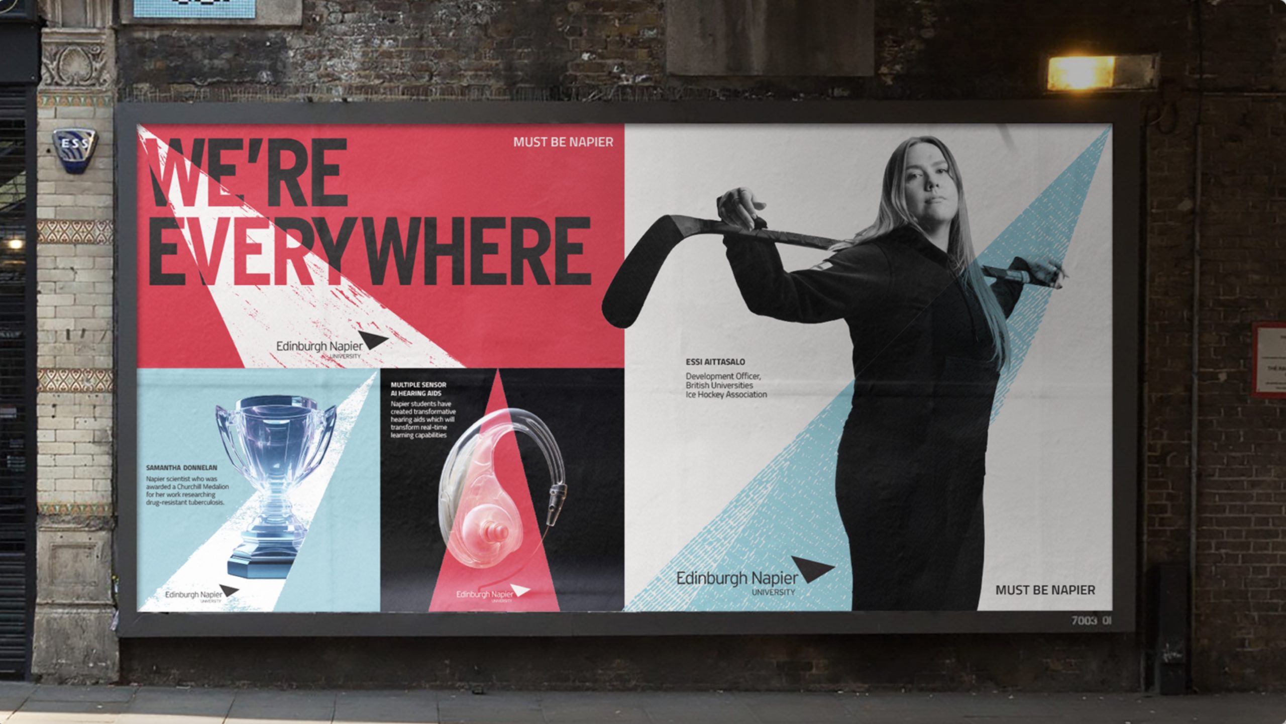 Napier. We’re everywhere. - Oystercatchers